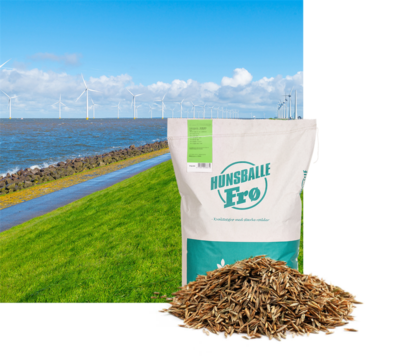 Dige-Blanding, 10 kg - DSV Frø - B2B shop